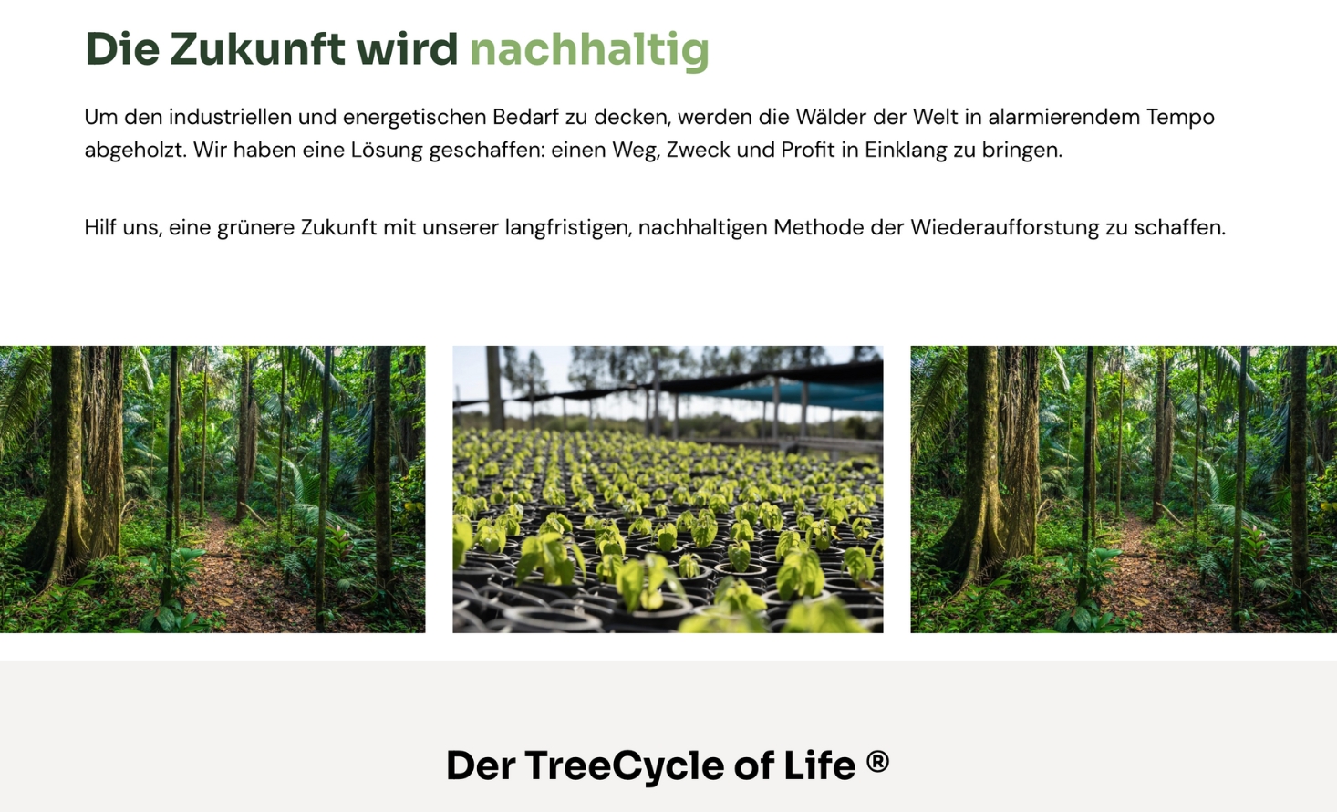 Jörg Schäfer - TREECYCLE - LIVE - FREIGEIST KONGRESS - LIVE CALLS